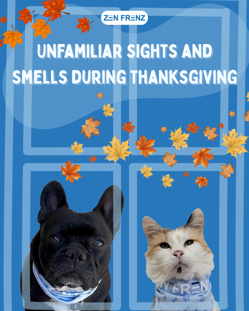 Handling Stressful Situations On Thanksgiving – Zen Frenz