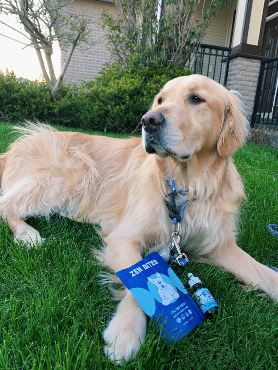 Five Different Ways to Get ~Zen~ – Zen Frenz